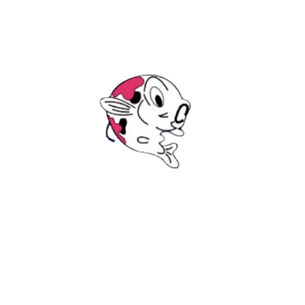 Cod House Glengormely | Official Website